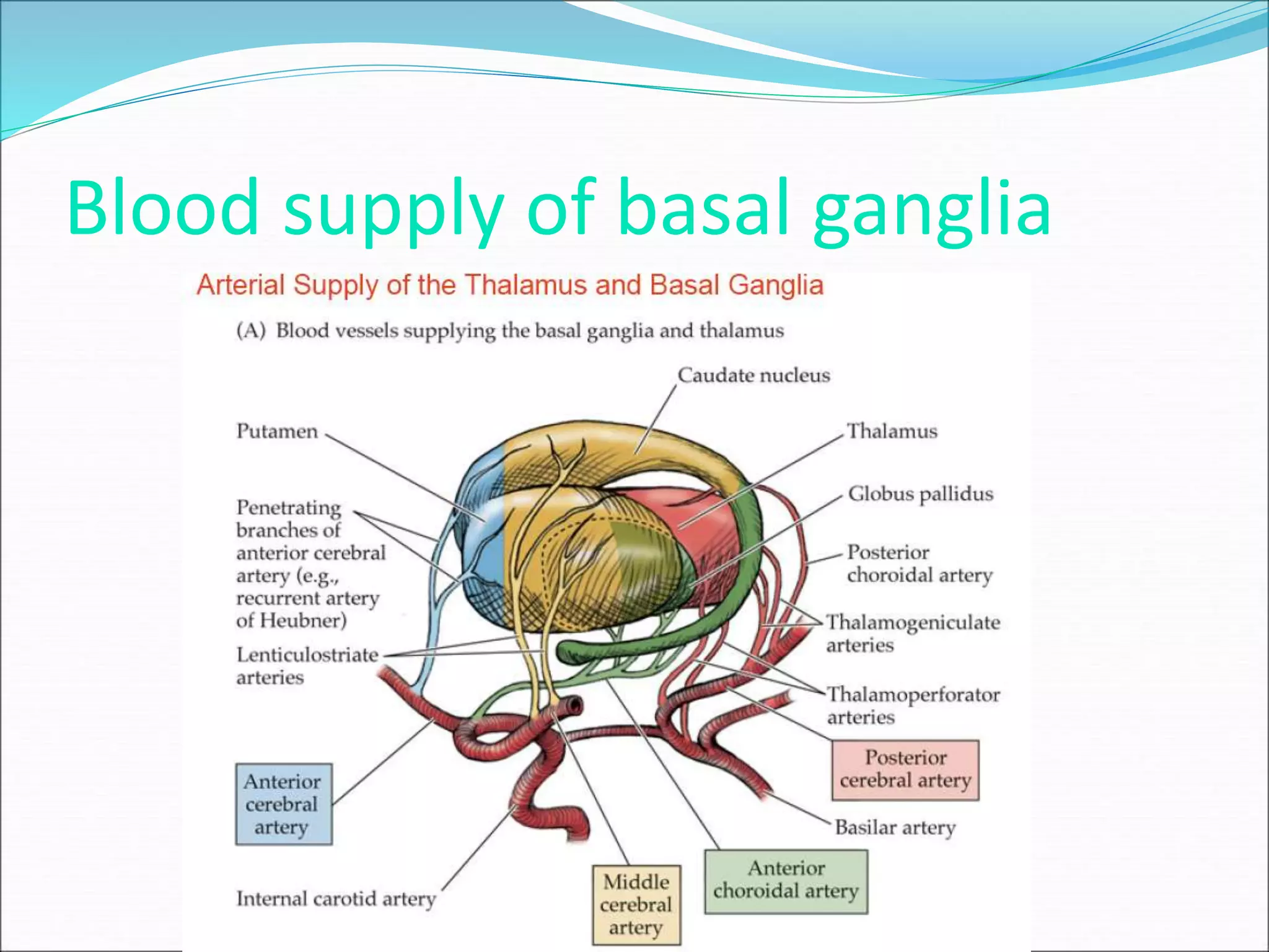 FUNCTIONAL_ANATOMY_OF_BASAL_GANGLIA.ppt