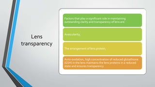 Functional Anatomy of Eye.pptx