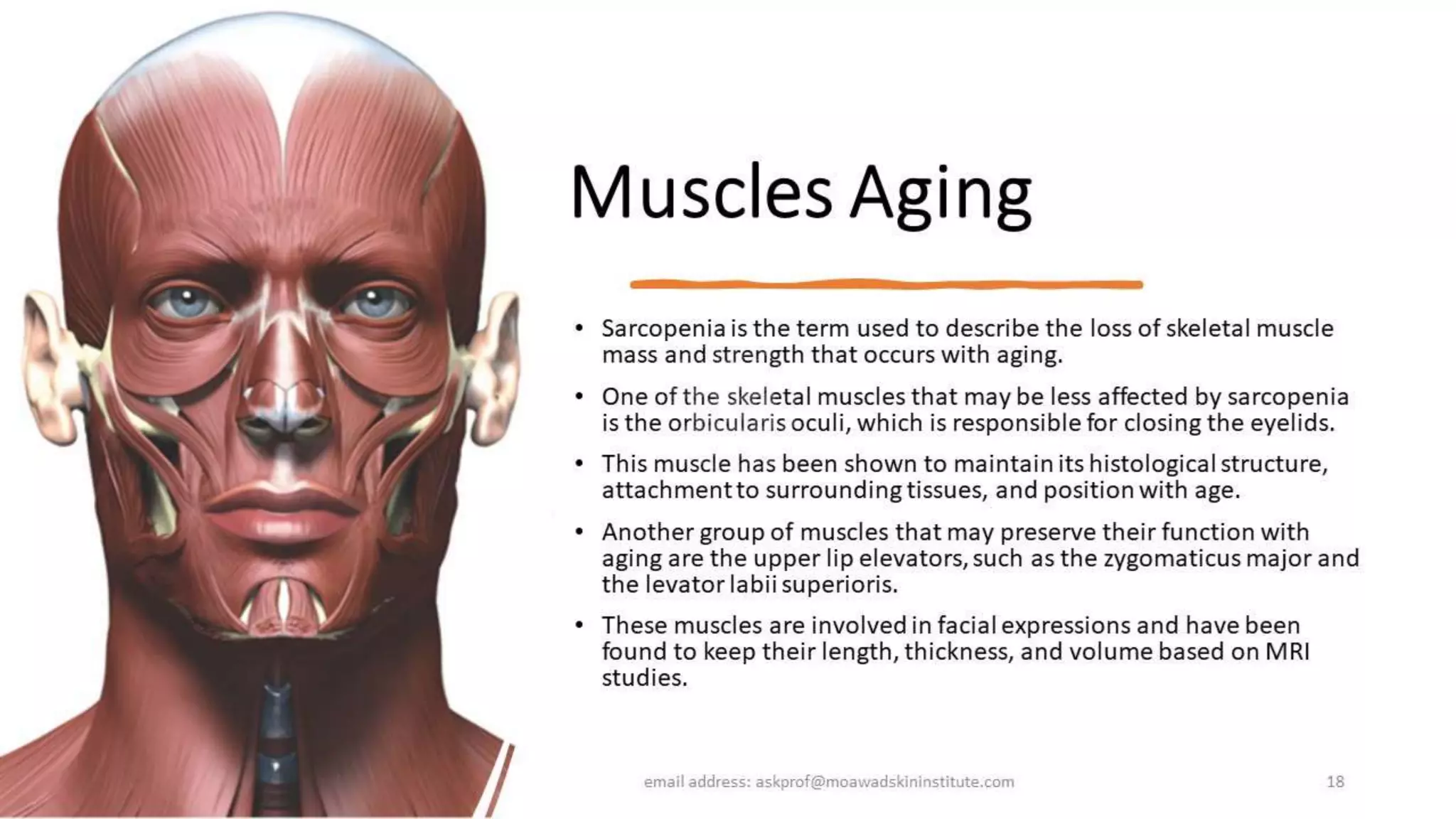 Functional Anatomy of Facial Muscles. An Injector Eye. Part One.pptx