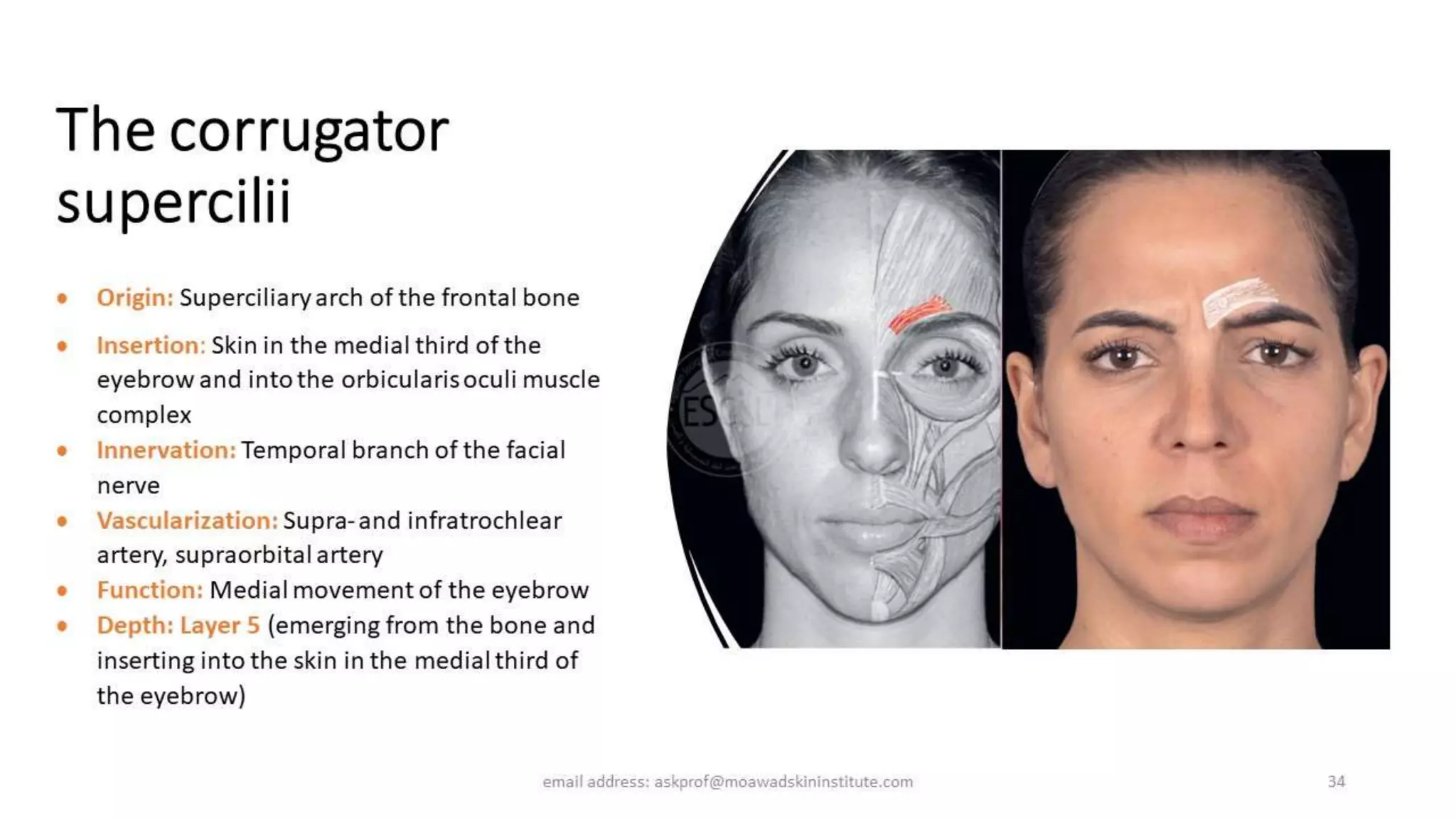 Functional Anatomy of Facial Muscles. An Injector Eye. Part One.pptx