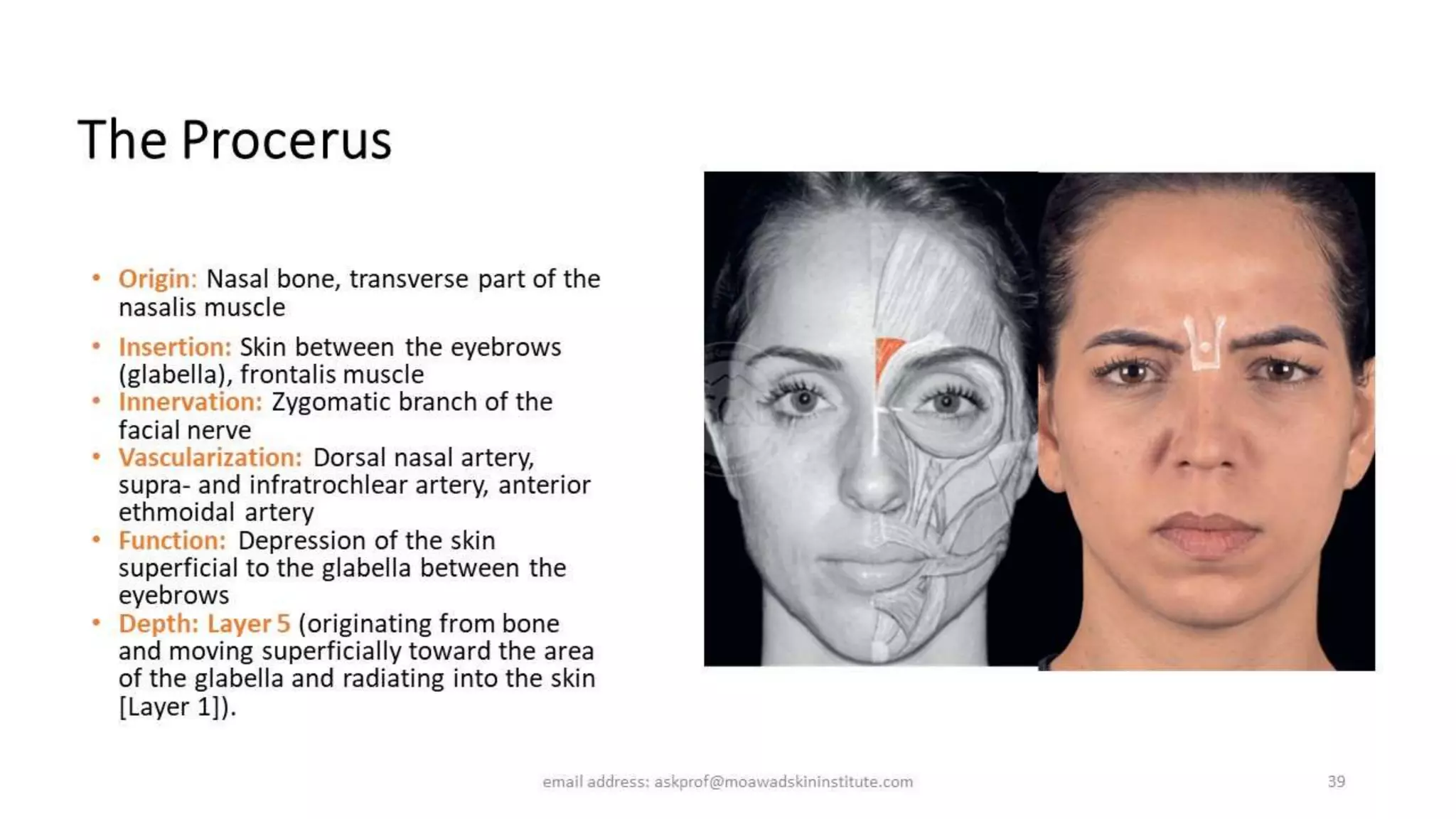 Functional Anatomy of Facial Muscles. An Injector Eye. Part One.pptx