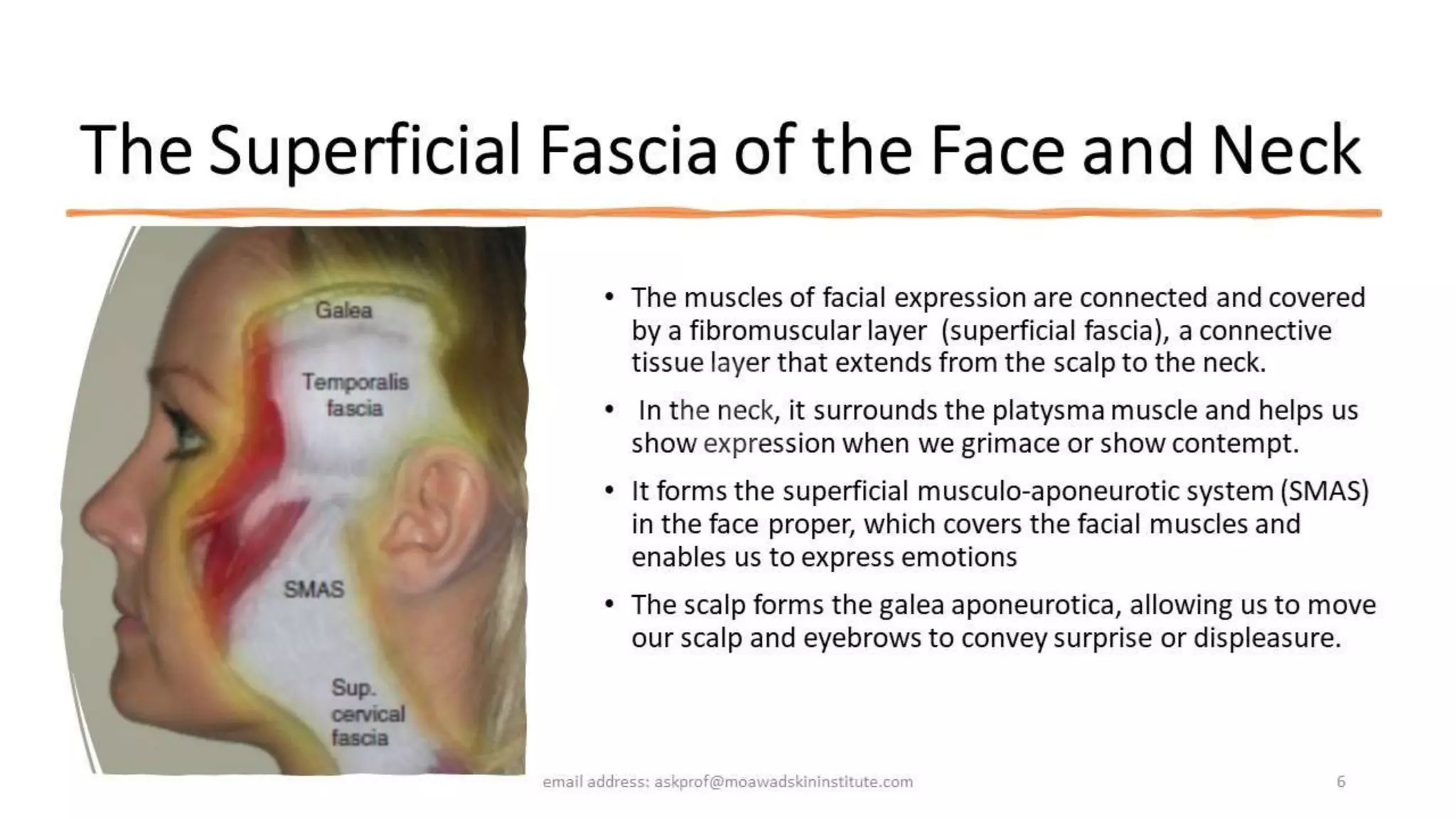 Functional Anatomy of Facial Muscles. An Injector Eye. Part One.pptx