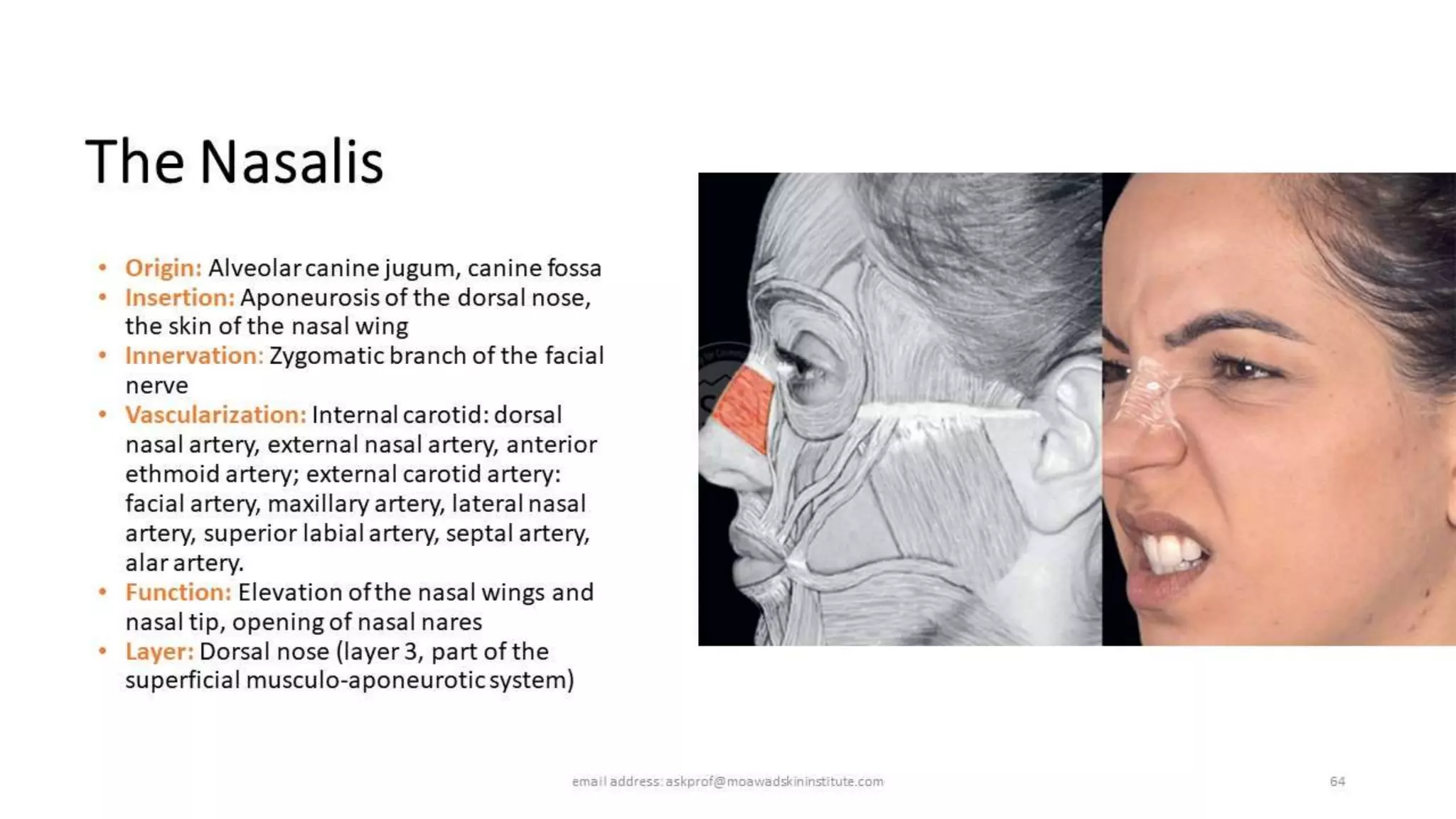 Functional Anatomy of Facial Muscles. An Injector Eye. Part One.pptx