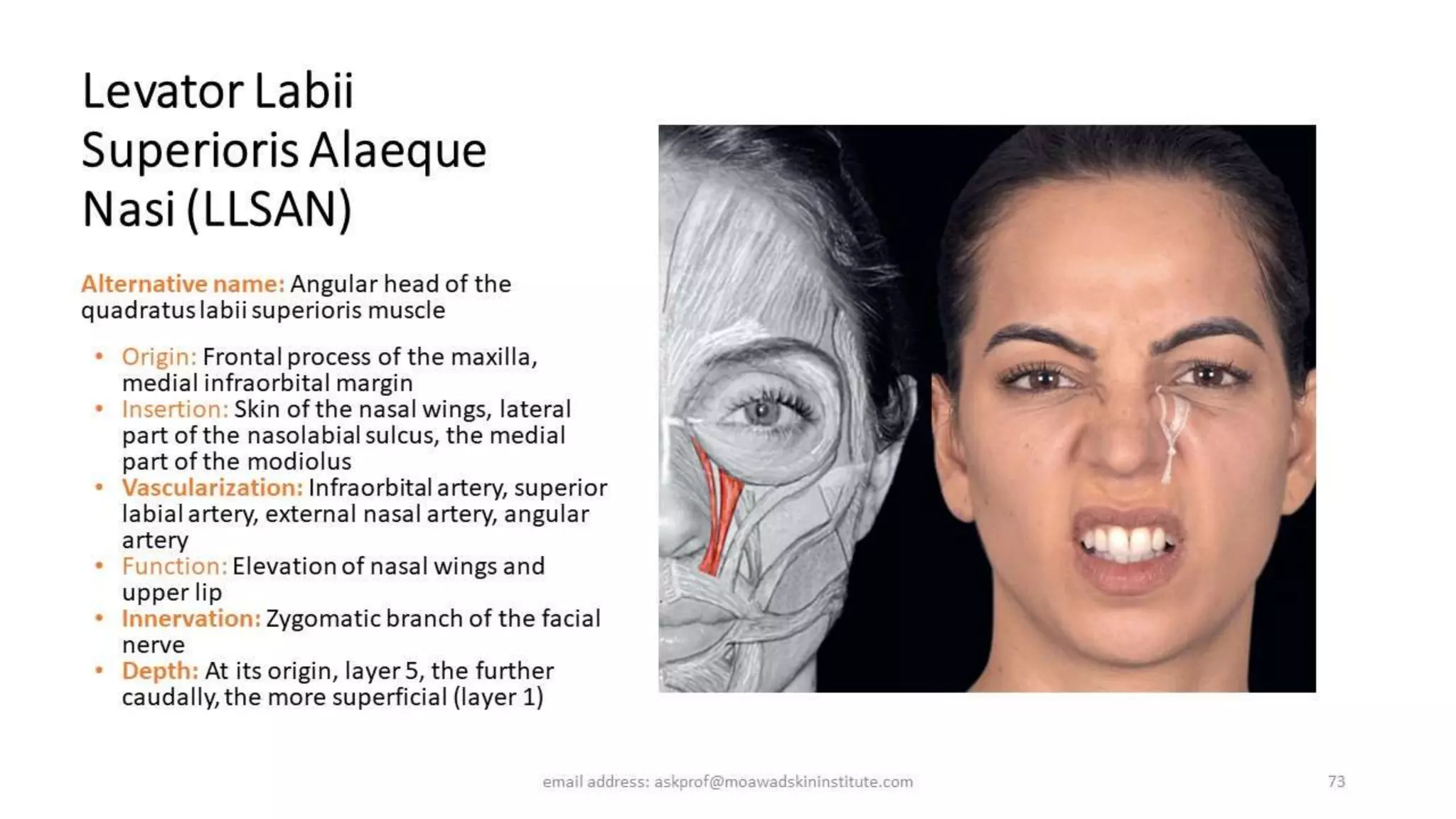 Functional Anatomy of Facial Muscles. An Injector Eye. Part One.pptx