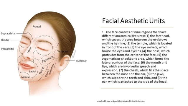 Functional Anatomy of Facial Muscles. An Injector Eye. Part One.pptx