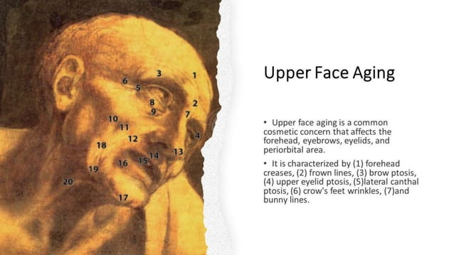 Functional Anatomy of Facial Muscles. An Injector Eye. Part One.pptx
