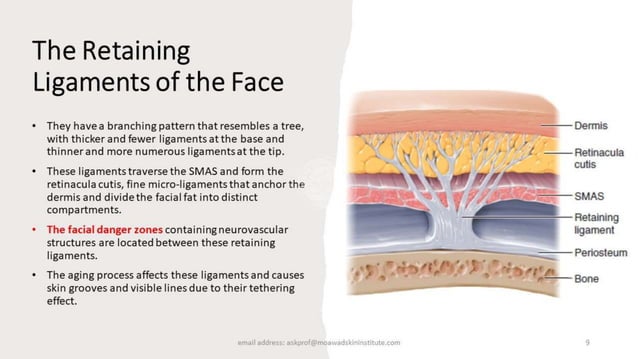 Functional Anatomy of Facial Muscles. An Injector Eye. Part One.pptx