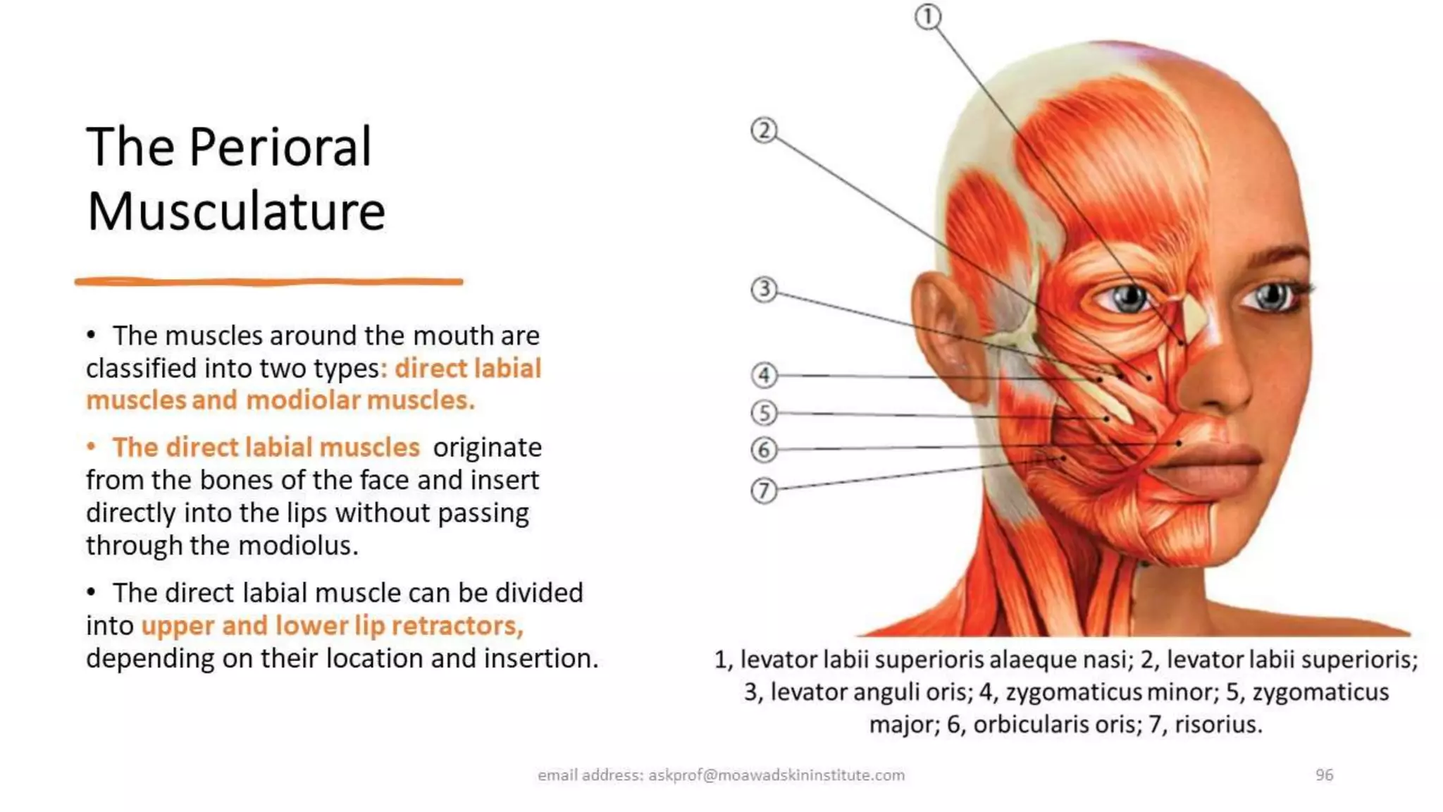 Functional Anatomy of Facial Muscles. An Injector Eye. Part Two.pptx