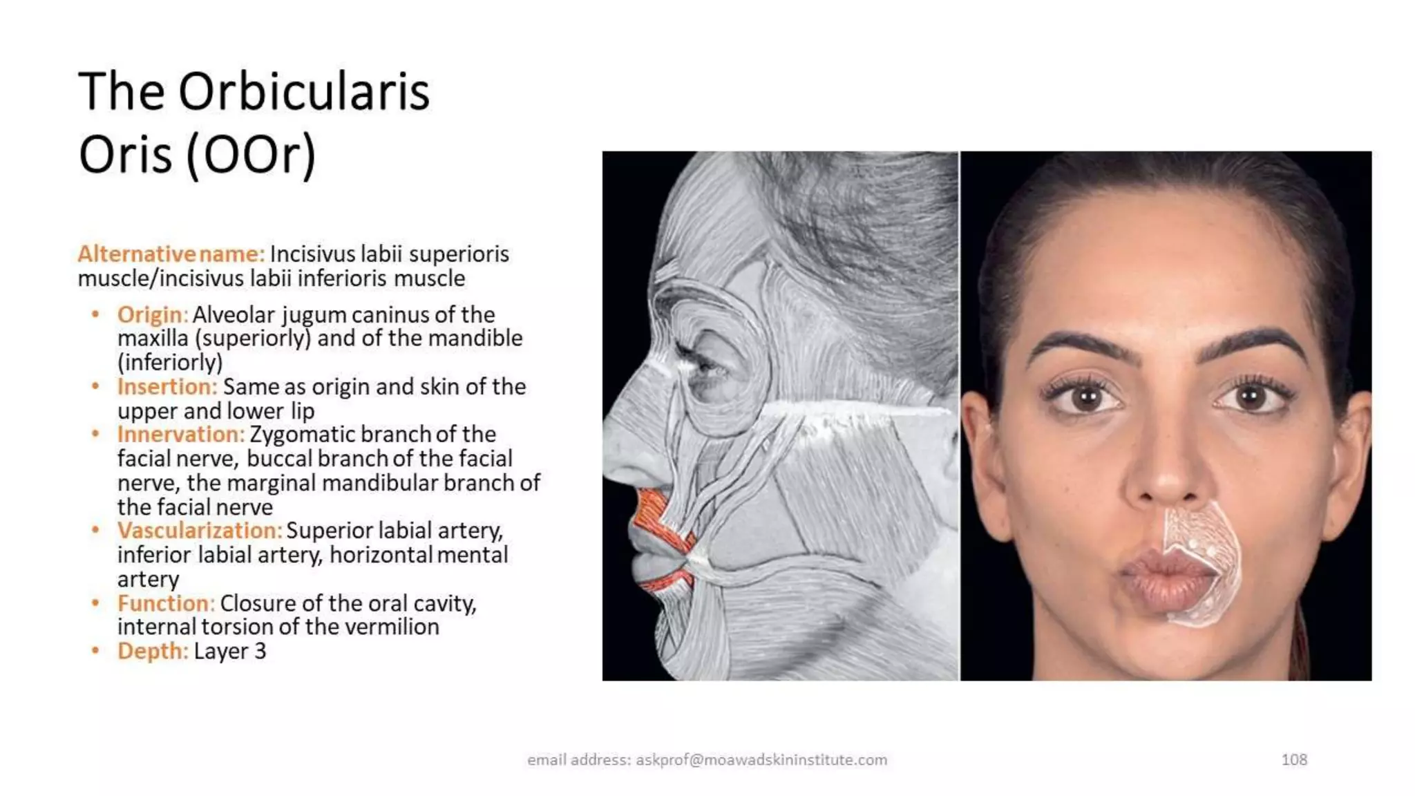 Functional Anatomy of Facial Muscles. An Injector Eye. Part Two.pptx