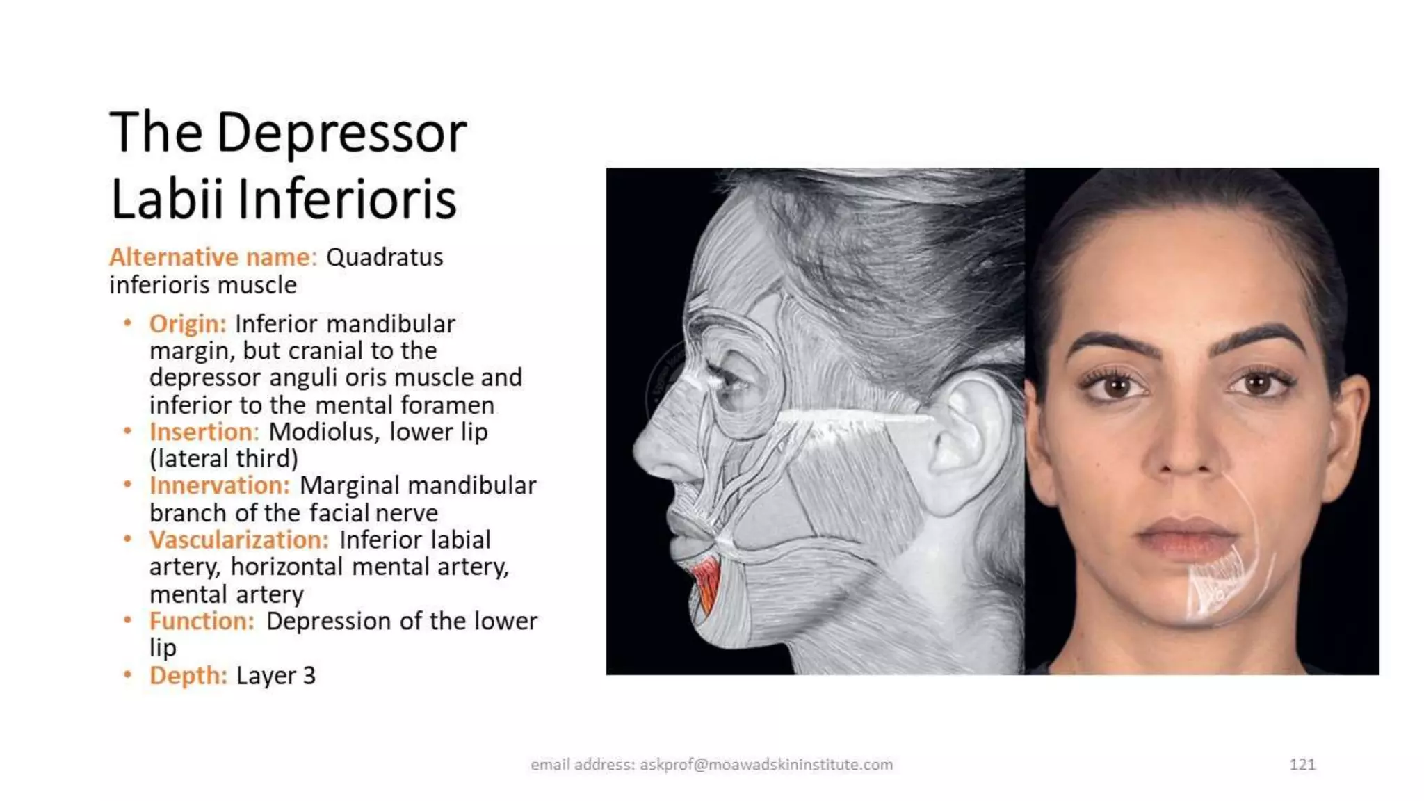 Functional Anatomy of Facial Muscles. An Injector Eye. Part Two.pptx