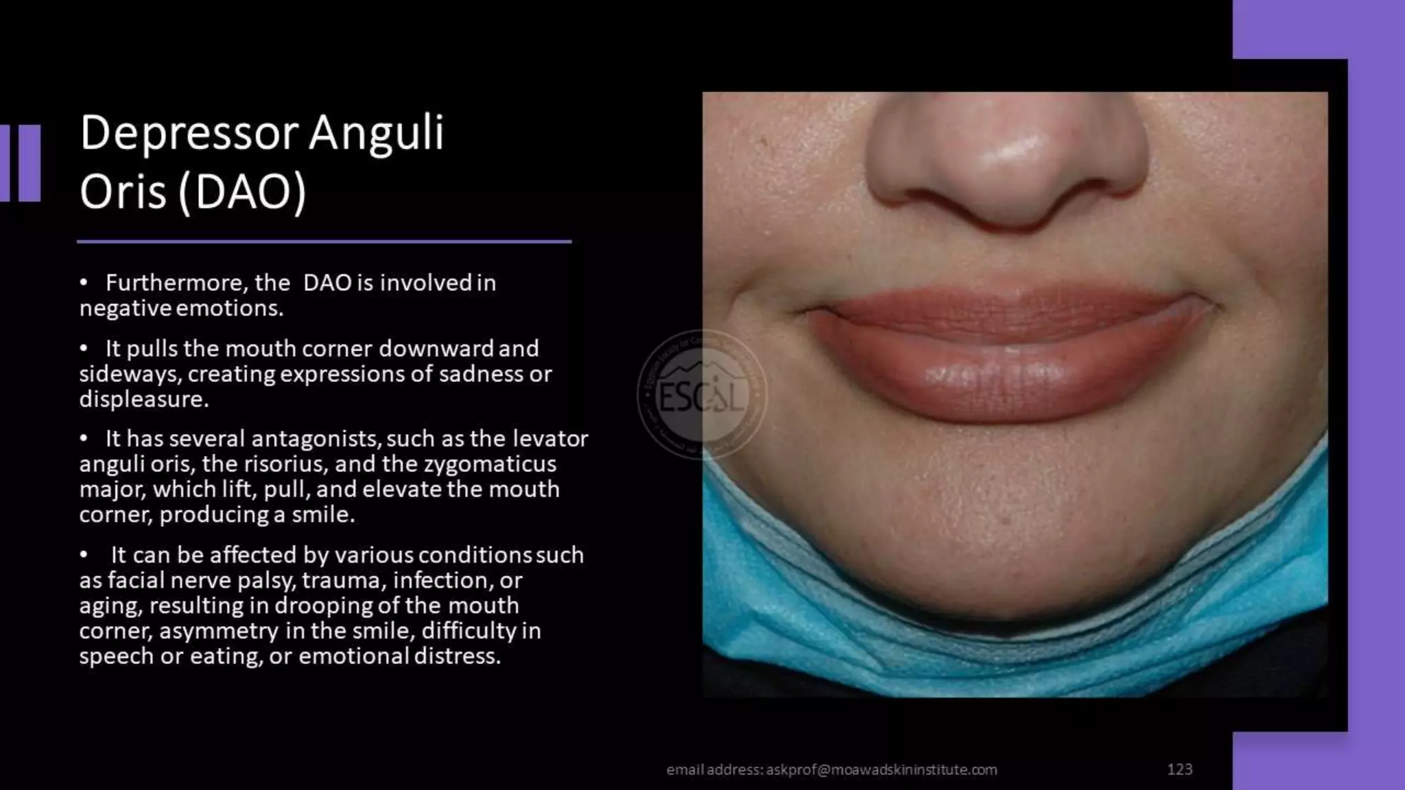 Functional Anatomy of Facial Muscles. An Injector Eye. Part Two.pptx