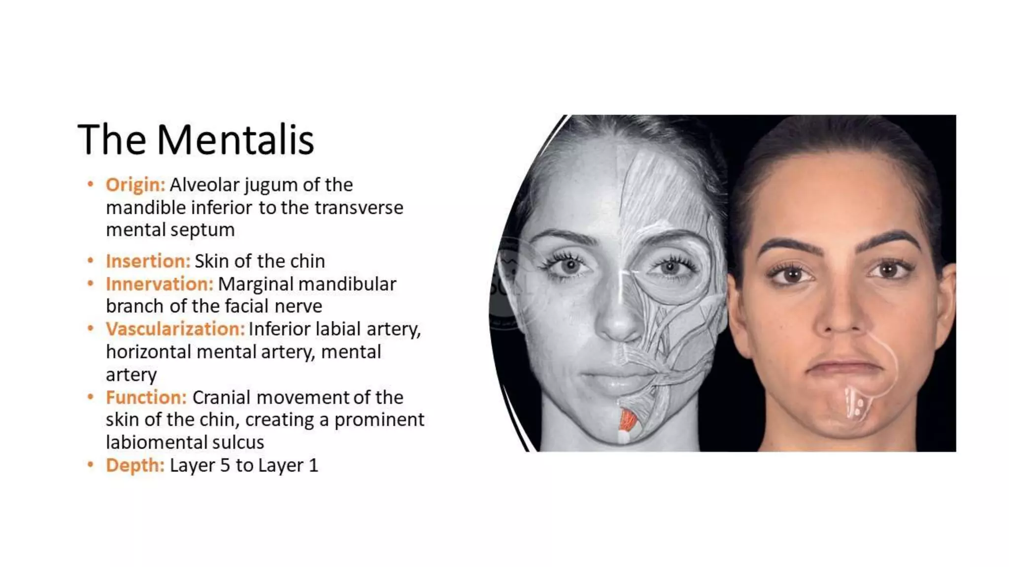 Functional Anatomy of Facial Muscles. An Injector Eye. Part Two.pptx