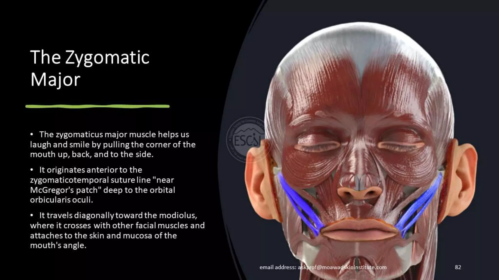 Functional Anatomy of Facial Muscles. An Injector Eye. Part Two.pptx