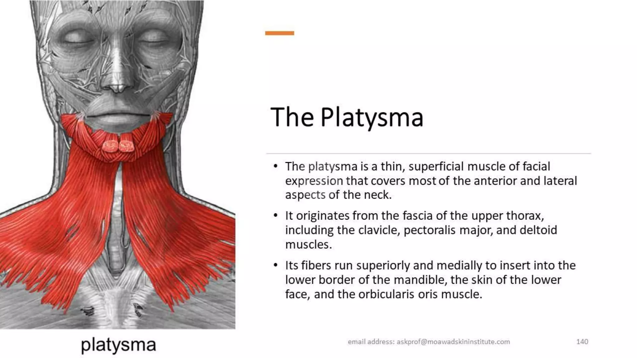 Functional Anatomy of Facial Muscles. An Injector Eye. Part Two.pptx
