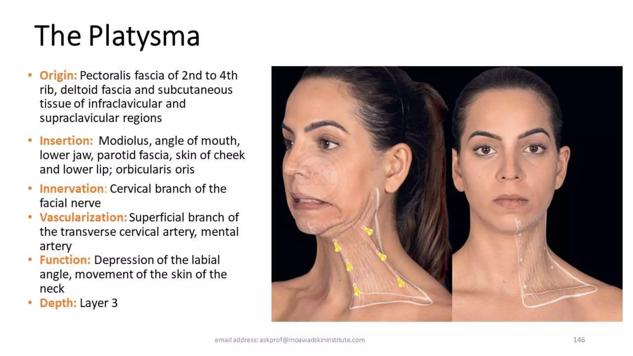 Functional Anatomy of Facial Muscles. An Injector Eye. Part Two.pptx