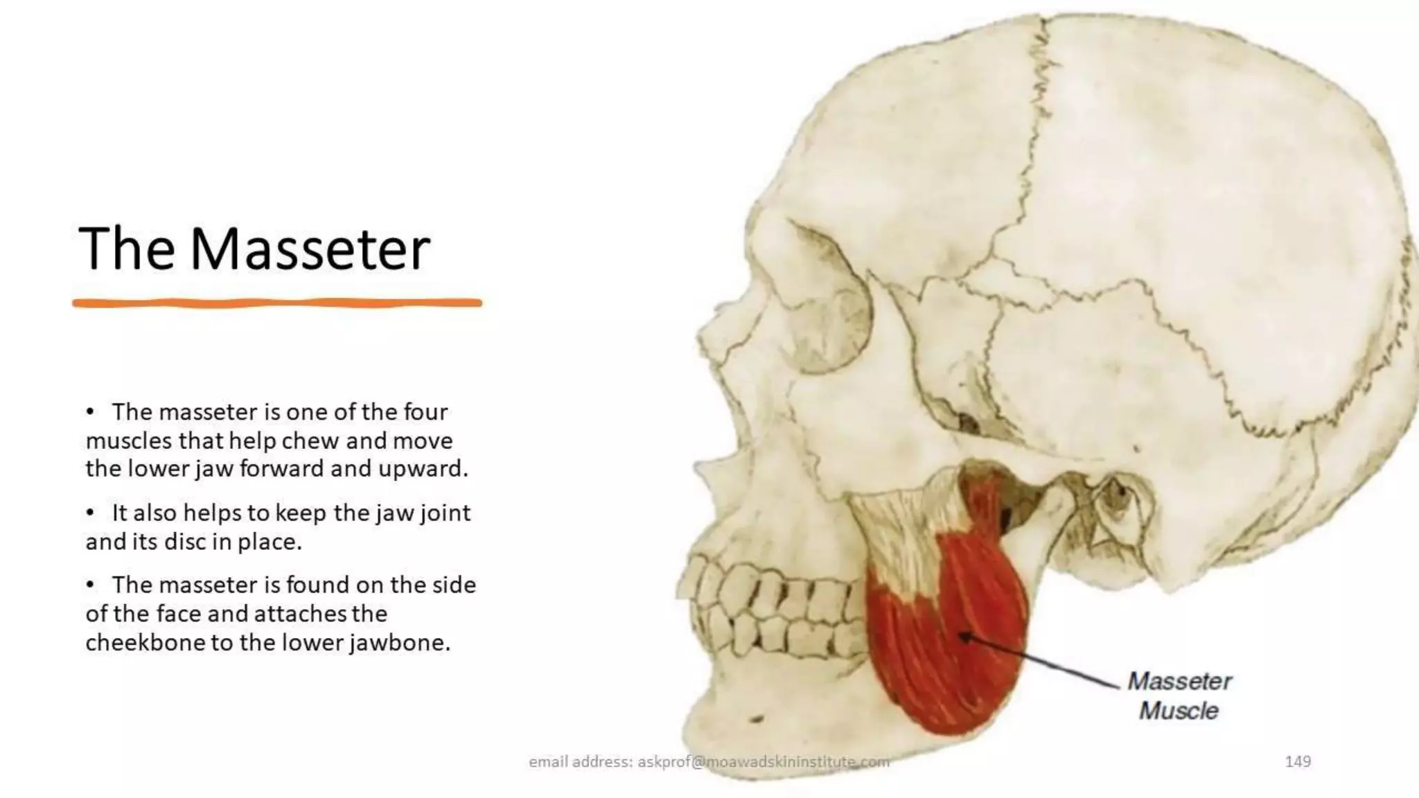 Functional Anatomy of Facial Muscles. An Injector Eye. Part Two.pptx