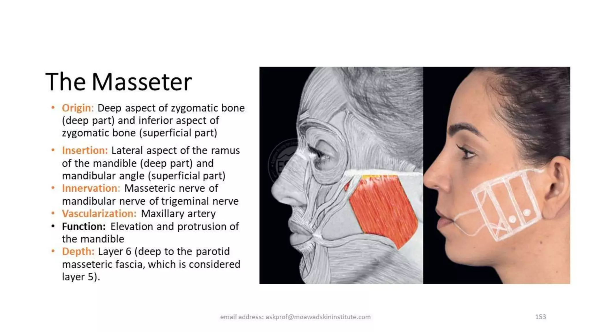 Functional Anatomy of Facial Muscles. An Injector Eye. Part Two.pptx