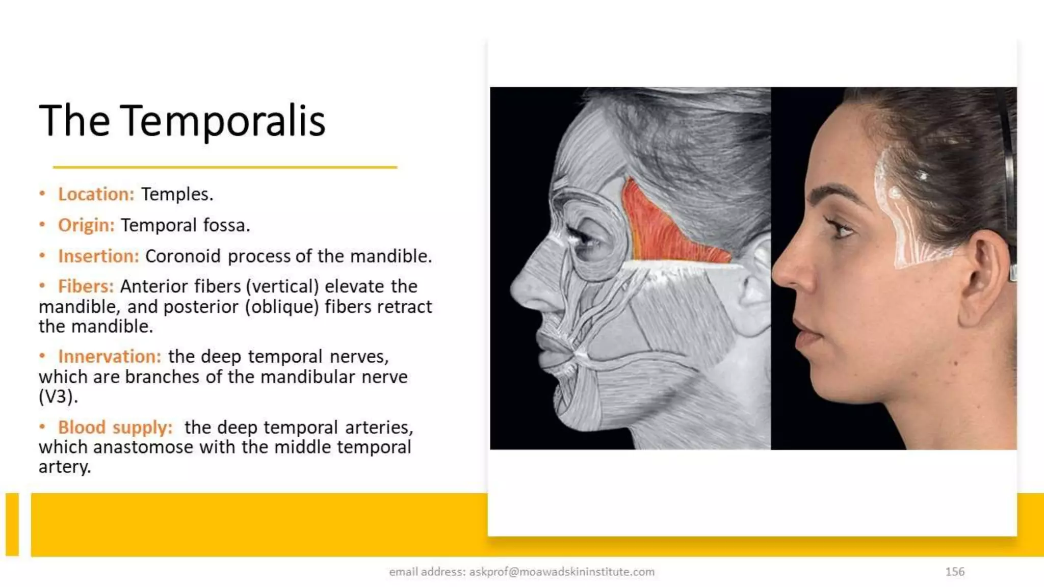 Functional Anatomy of Facial Muscles. An Injector Eye. Part Two.pptx