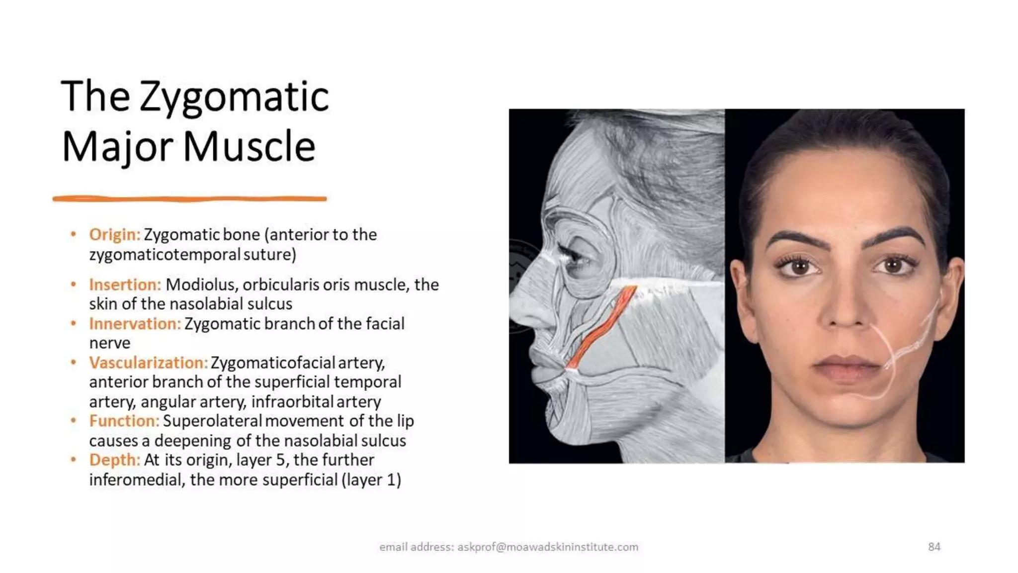 Functional Anatomy of Facial Muscles. An Injector Eye. Part Two.pptx