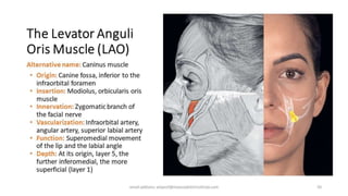 Functional Anatomy of Facial Muscles. An Injector Eye. Part Two.pptx