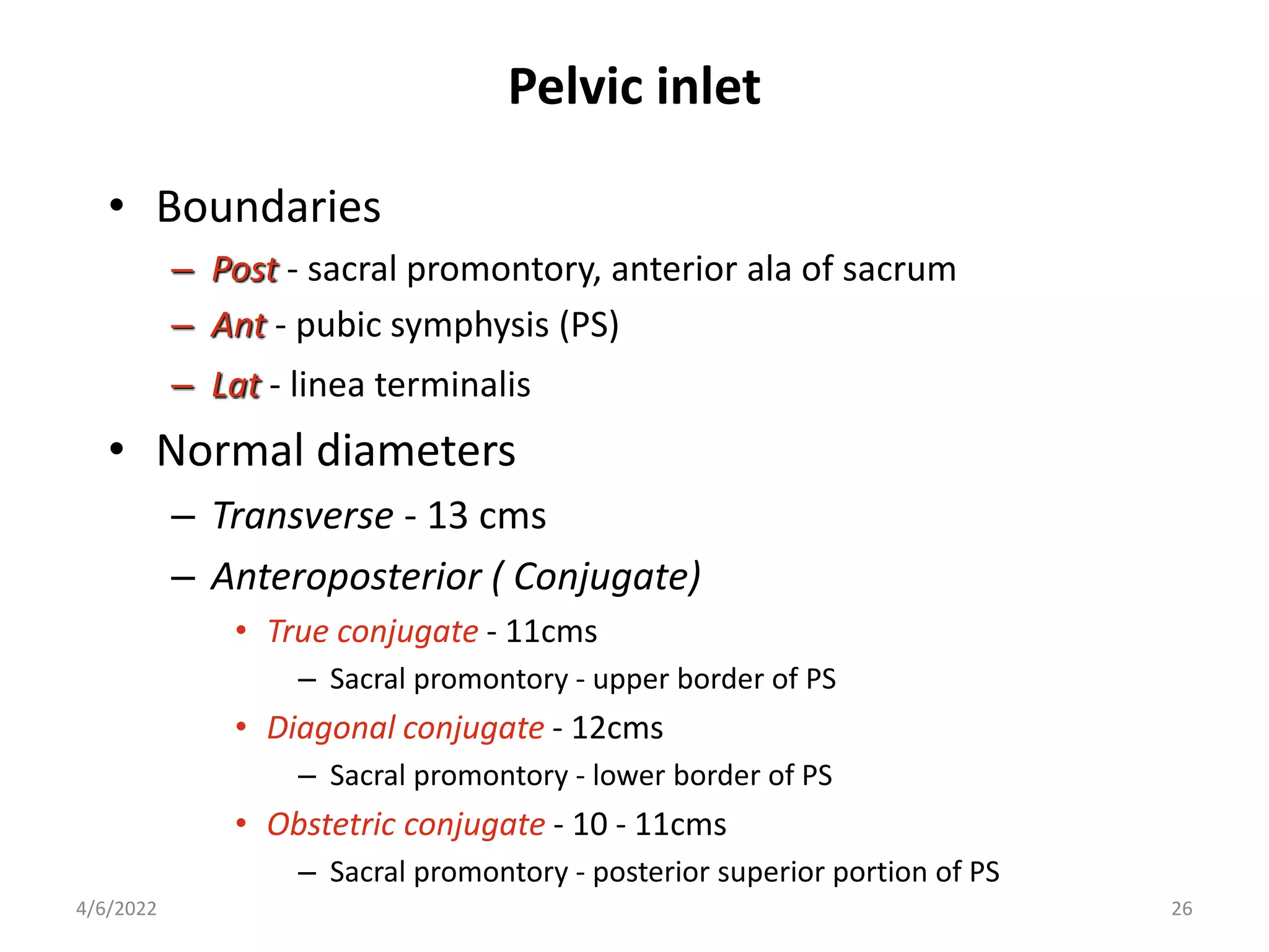 Functional Anatomy of Female Pelvis and the Fetal Skull | PPTX