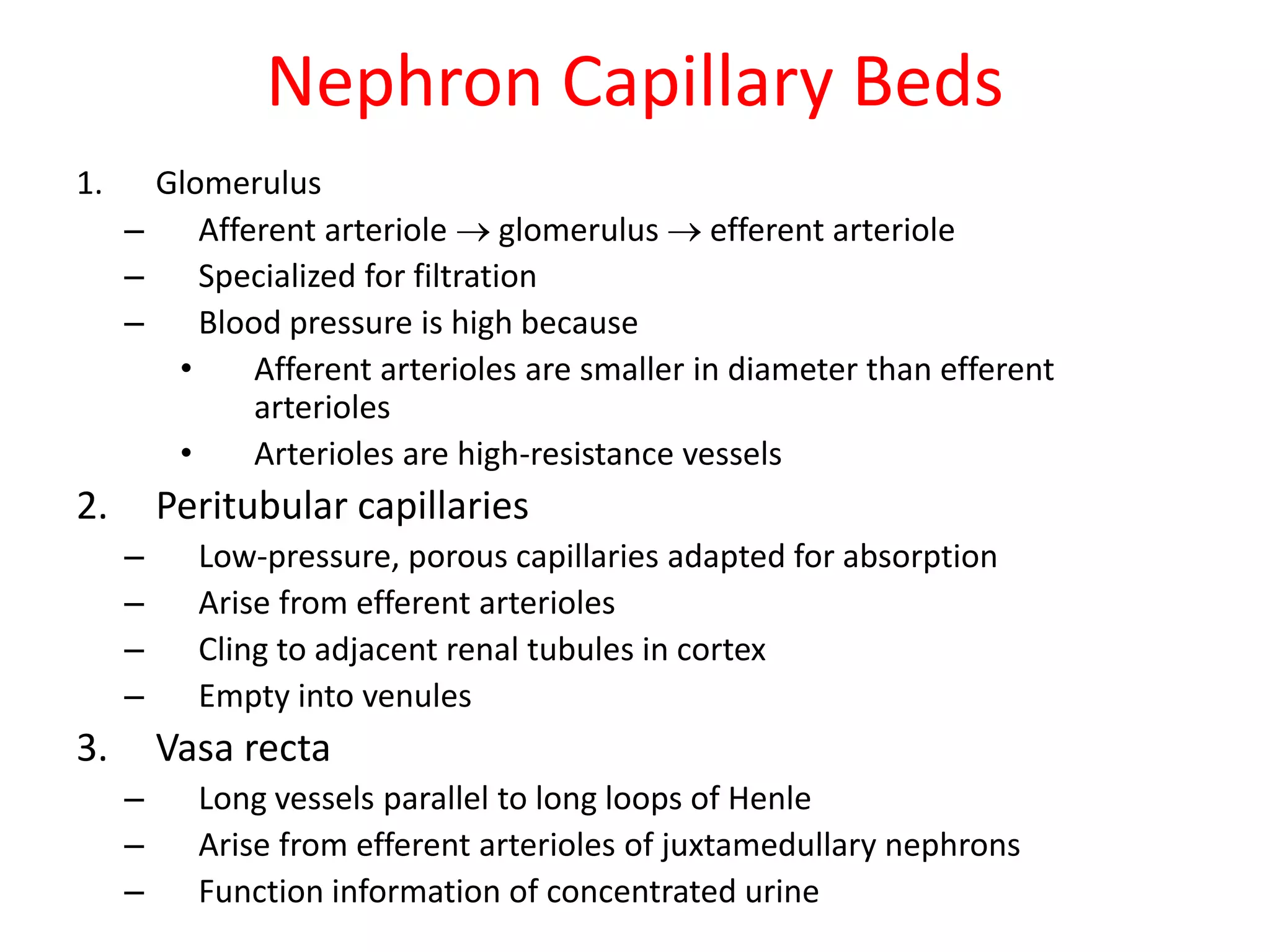 Functional anatomy of glomerulus and tubules | PPTX