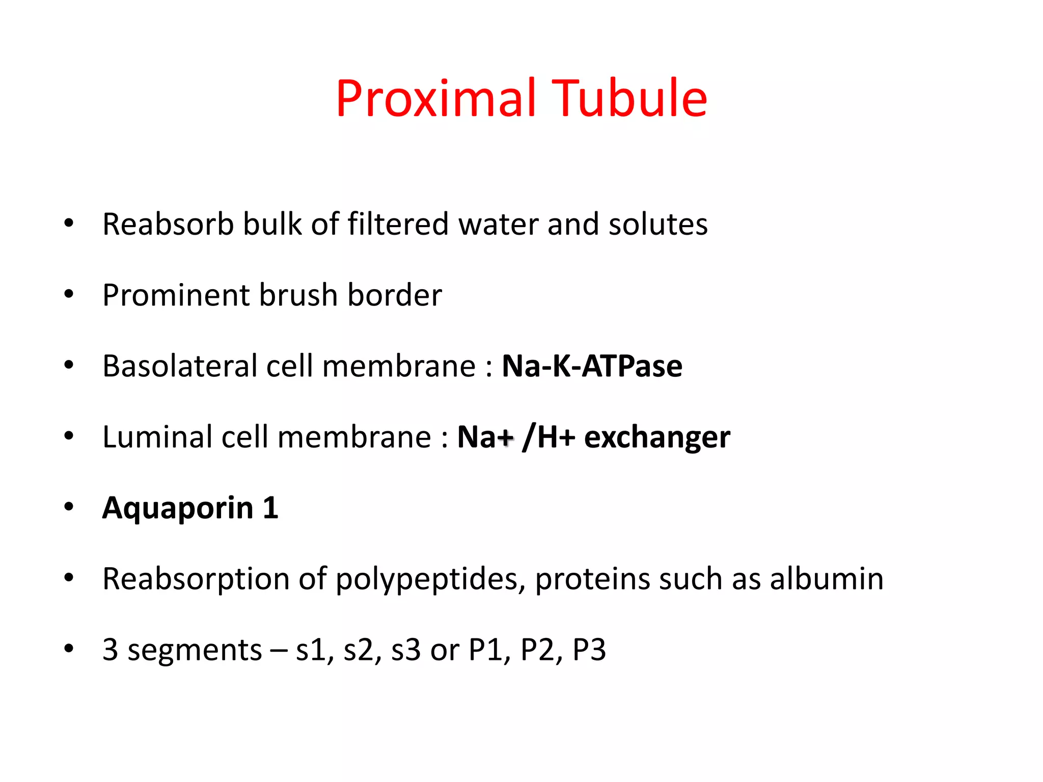 Functional anatomy of glomerulus and tubules | PPTX