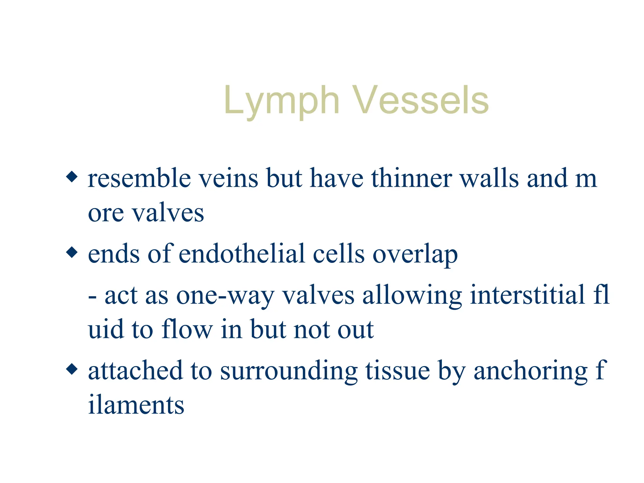 Functional_Anatomy_of_Lymphatic_System.pptx | Blood Disorders ...