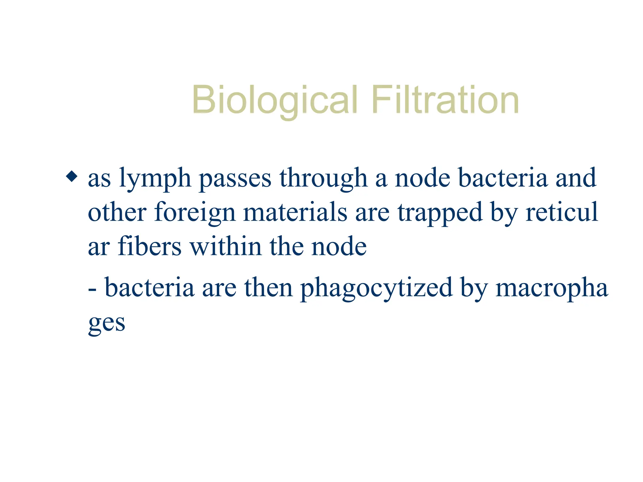 Functional_Anatomy_of_Lymphatic_System.pptx