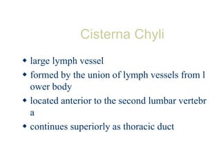 Functional_Anatomy_of_Lymphatic_System.pptx