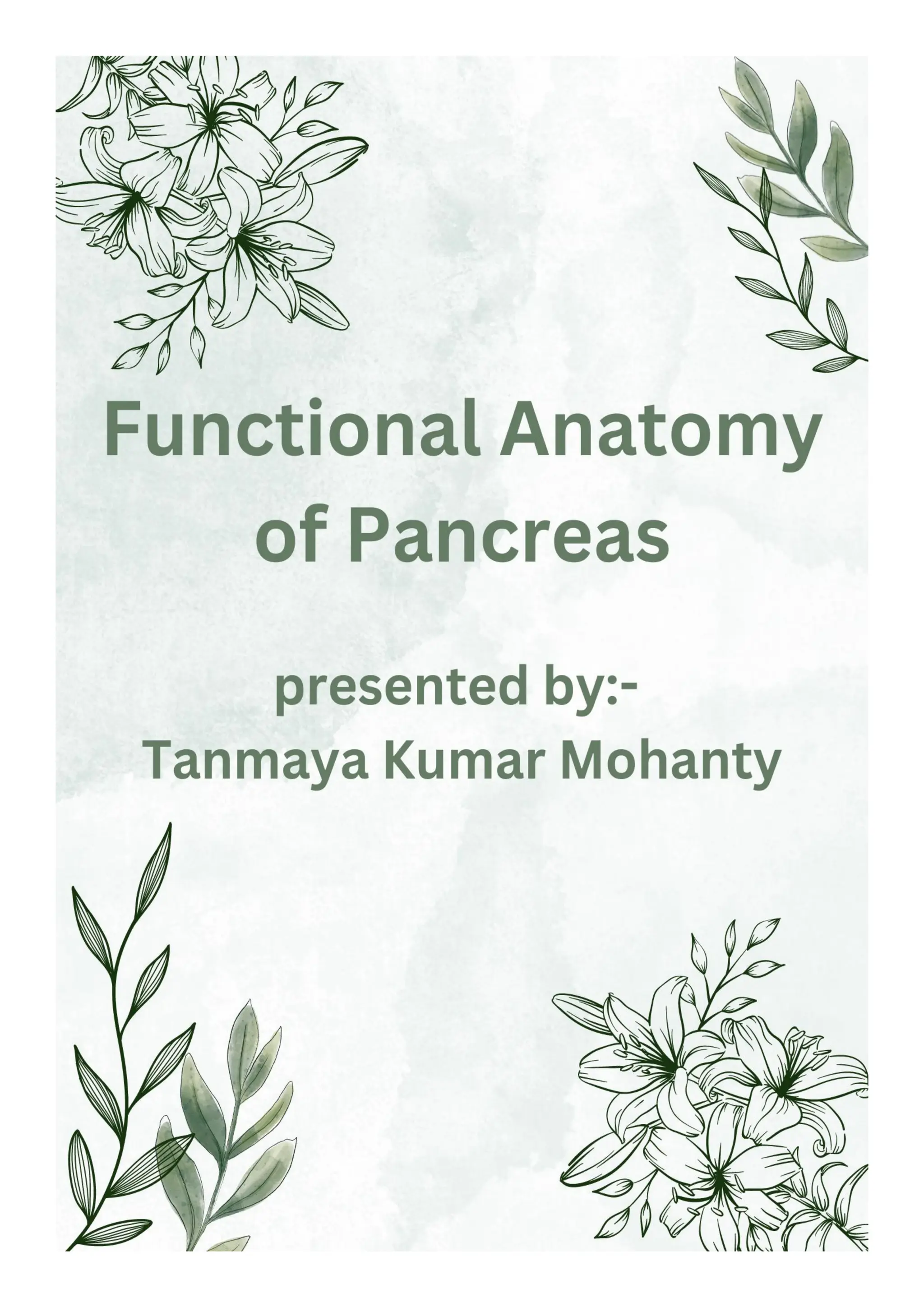 Functional Anatomy of Pancreas, revealing how this small organ plays a ...