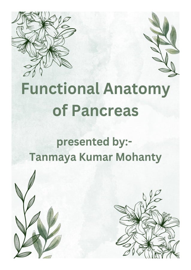 Functional Anatomy of Pancreas, revealing how this small organ plays a ...