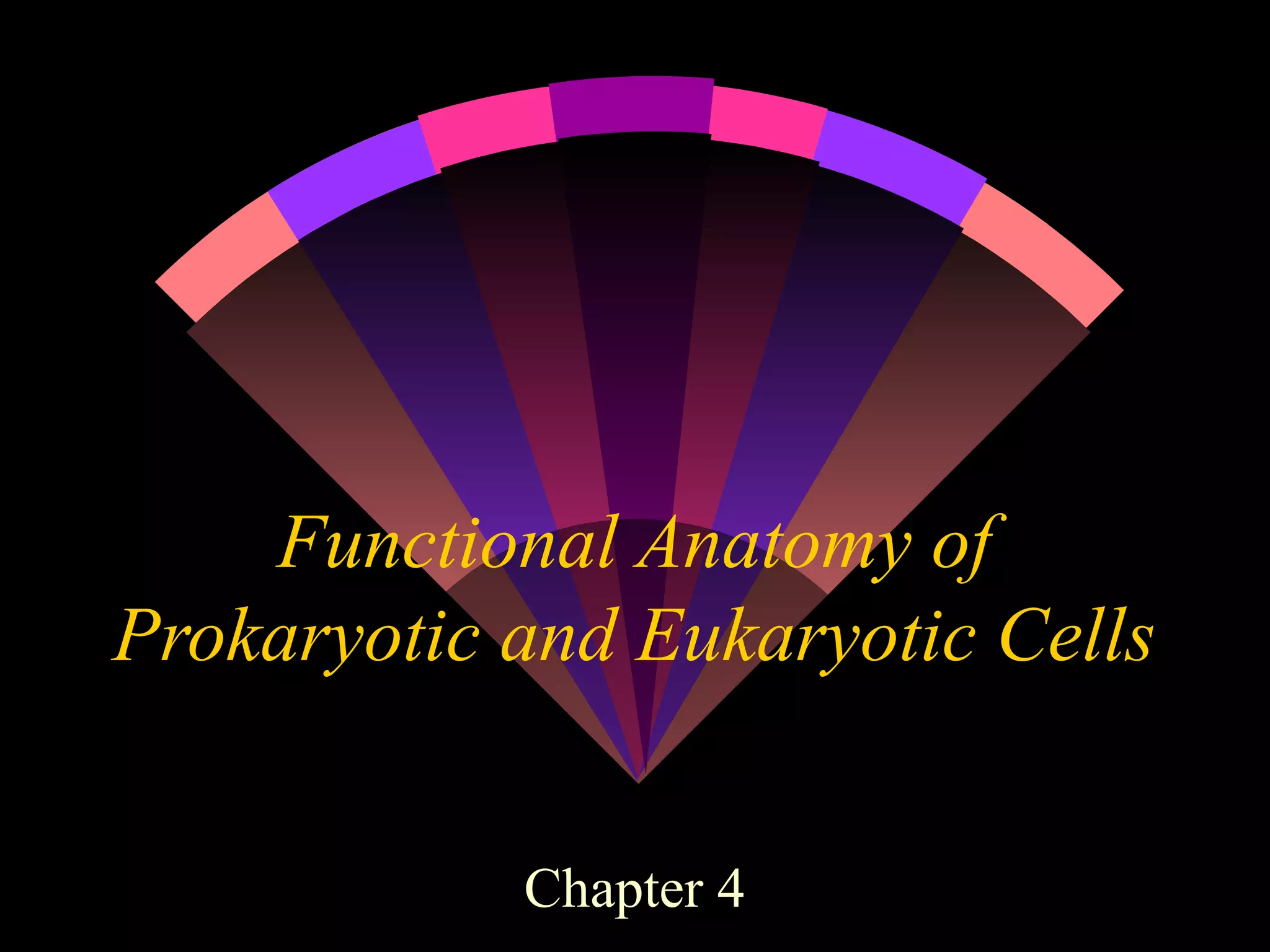 Functional Anatomy Of Prokaryotic And Eukaryotic Cells Prokaryotic Vs.