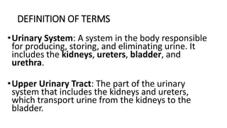 FUNCTIONAL ANATOMY OF RENAL SYSTEM. Urinay System | PDF