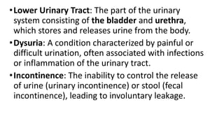 FUNCTIONAL ANATOMY OF RENAL SYSTEM. Urinay System | PDF