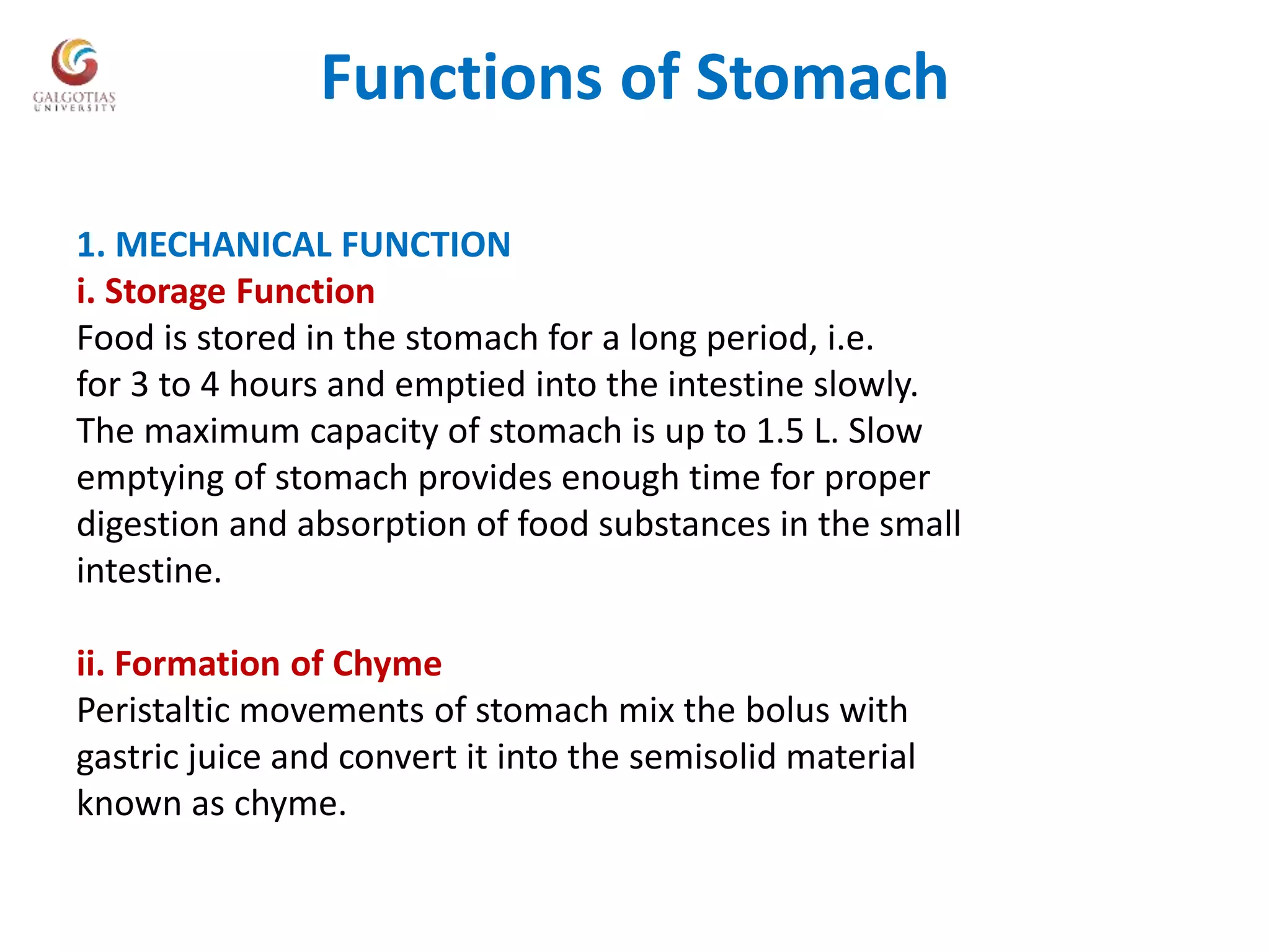 Functional anatomy of stomach, functions of stomach and glands of ...