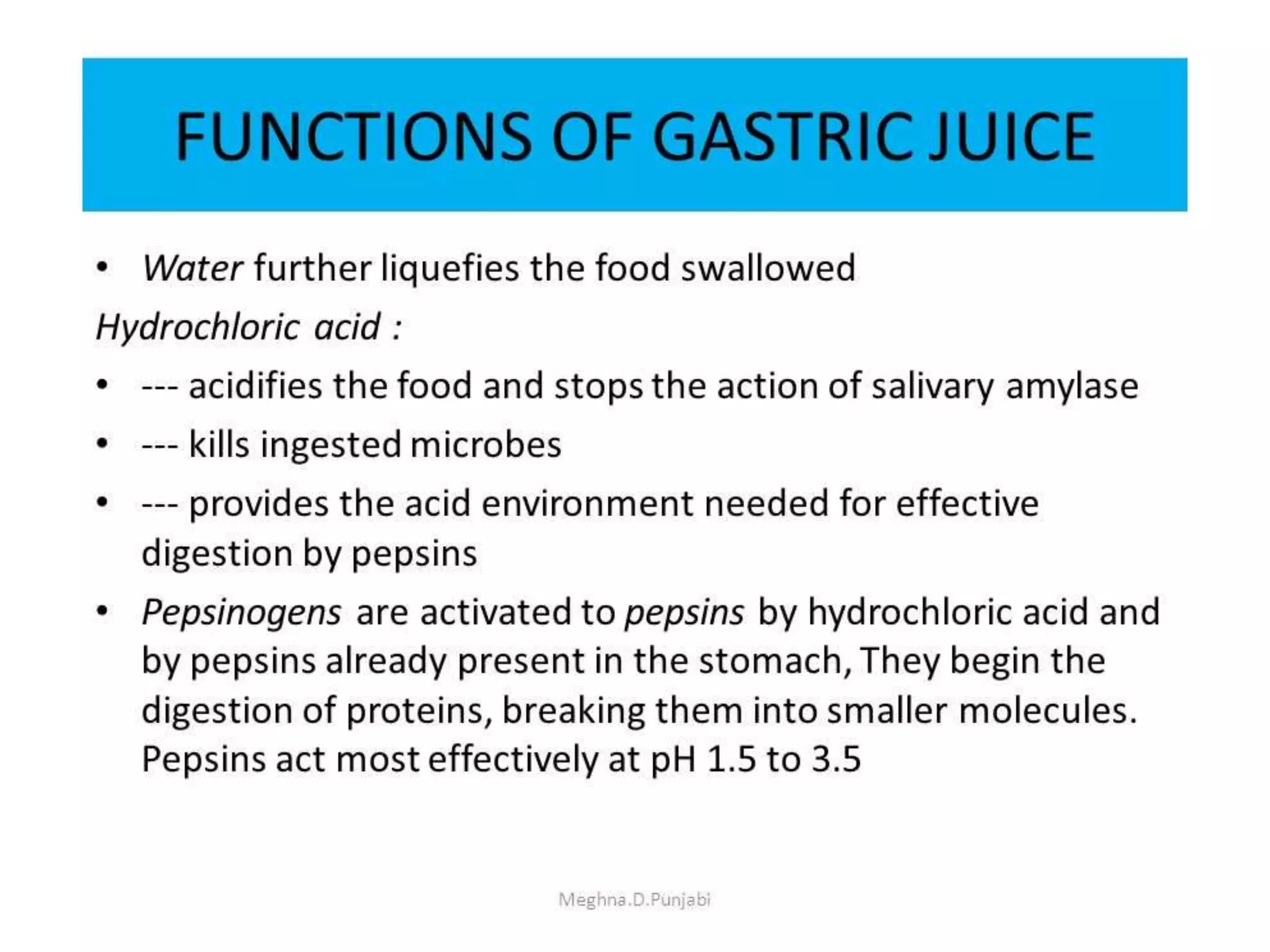 Functional anatomy of stomach, functions of stomach and glands of stomach gastric glands | PPTX