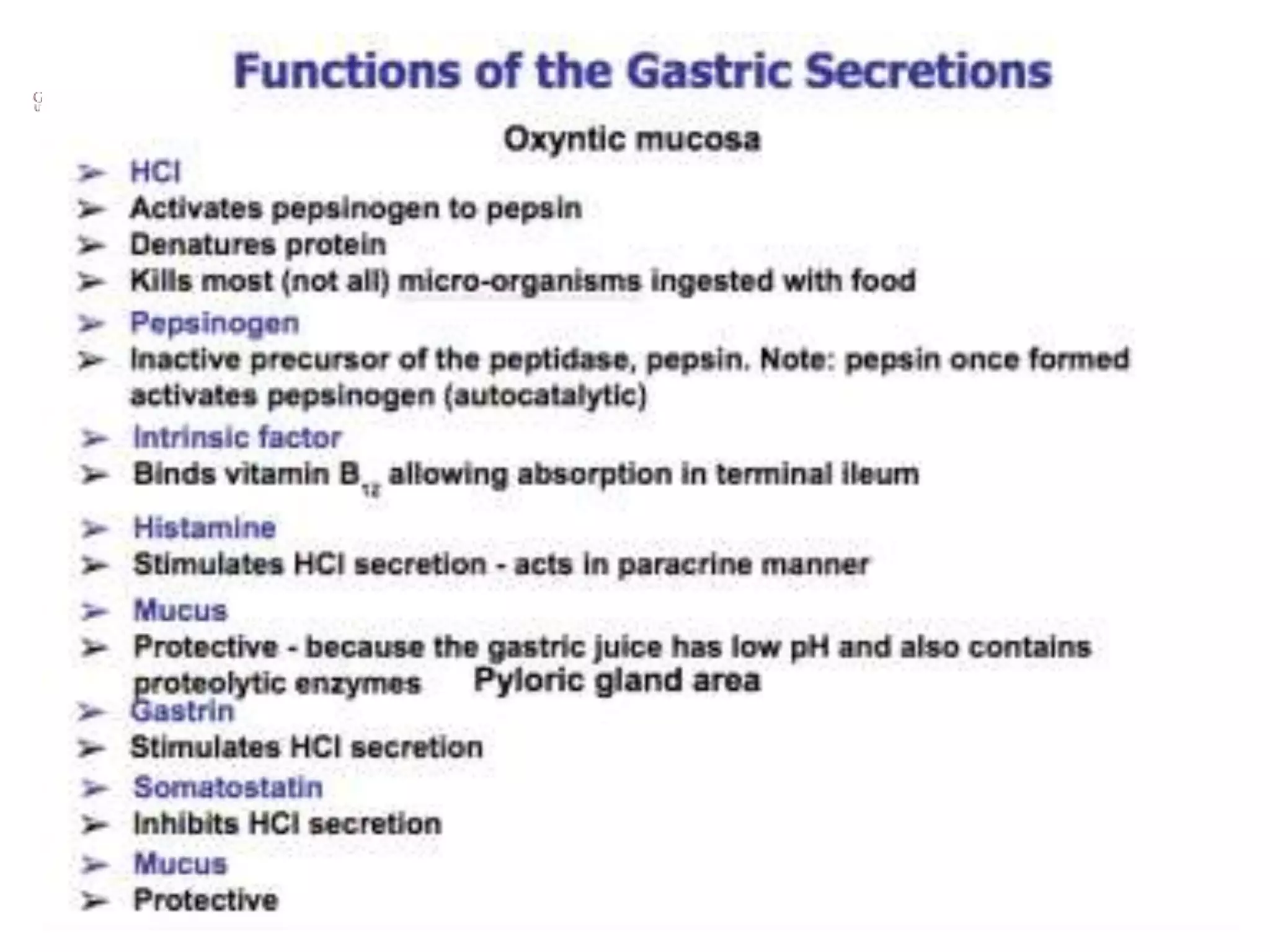 Functional anatomy of stomach, functions of stomach and glands of ...