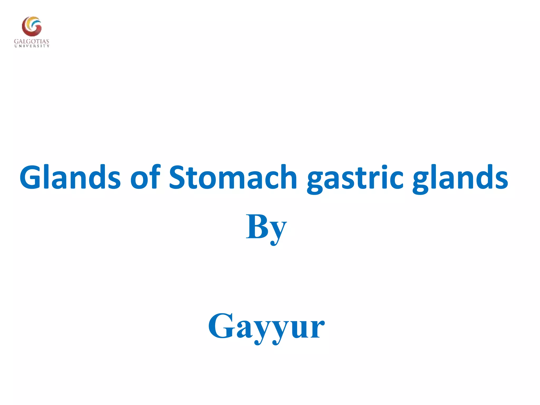 Functional anatomy of stomach, functions of stomach and glands of ...