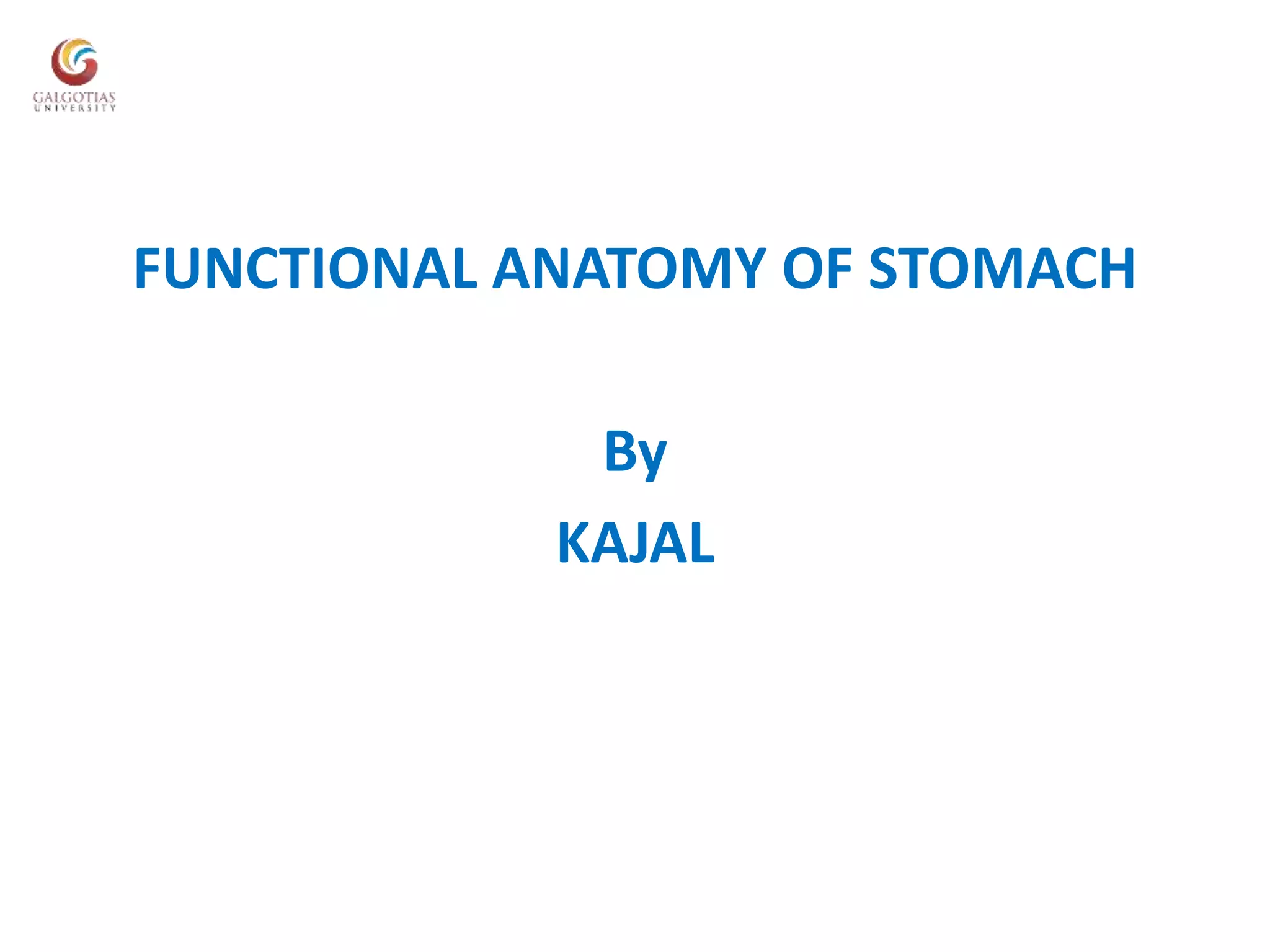 Functional anatomy of stomach, functions of stomach and glands of ...