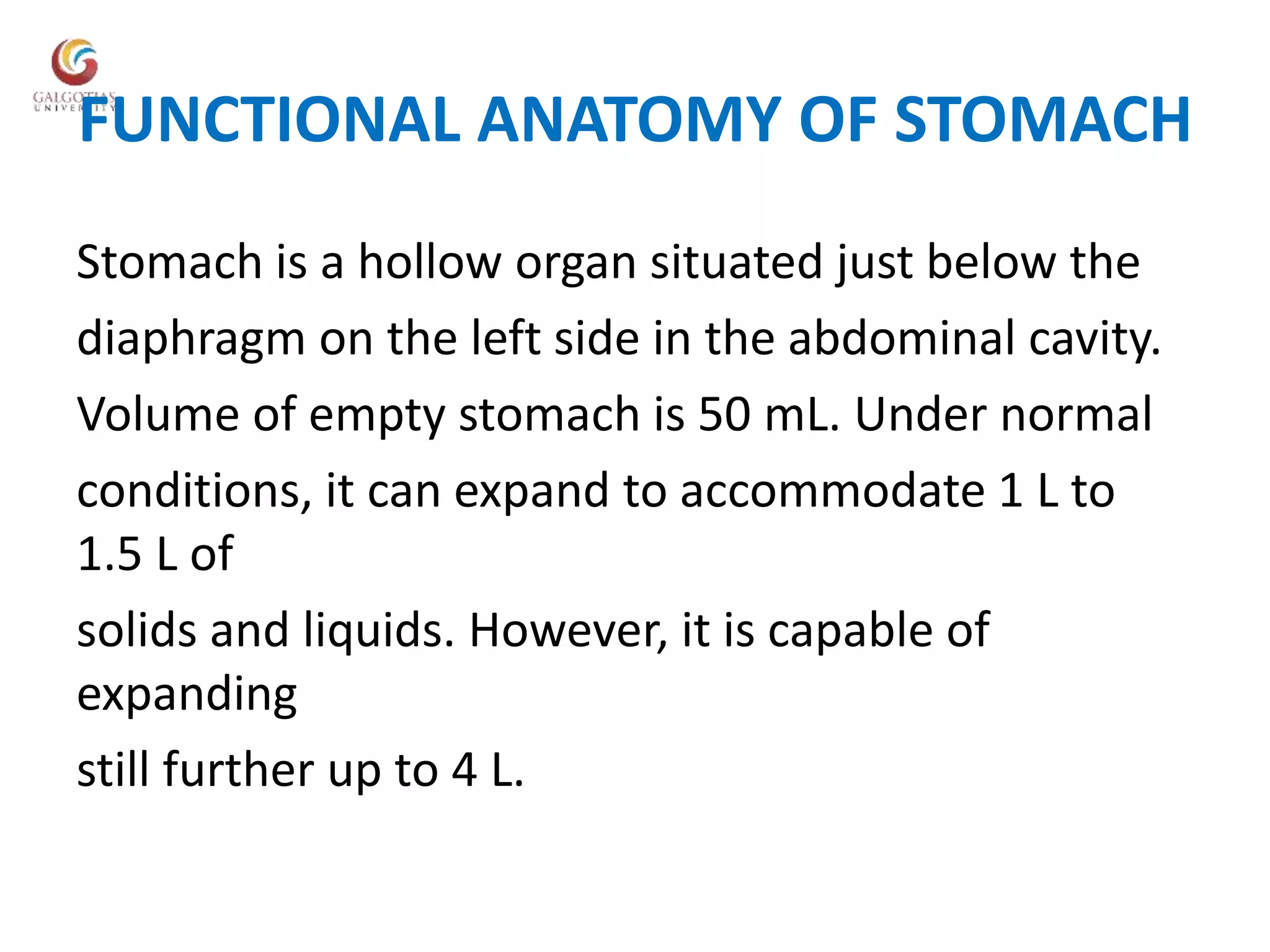 Functional anatomy of stomach, functions of stomach and glands of ...