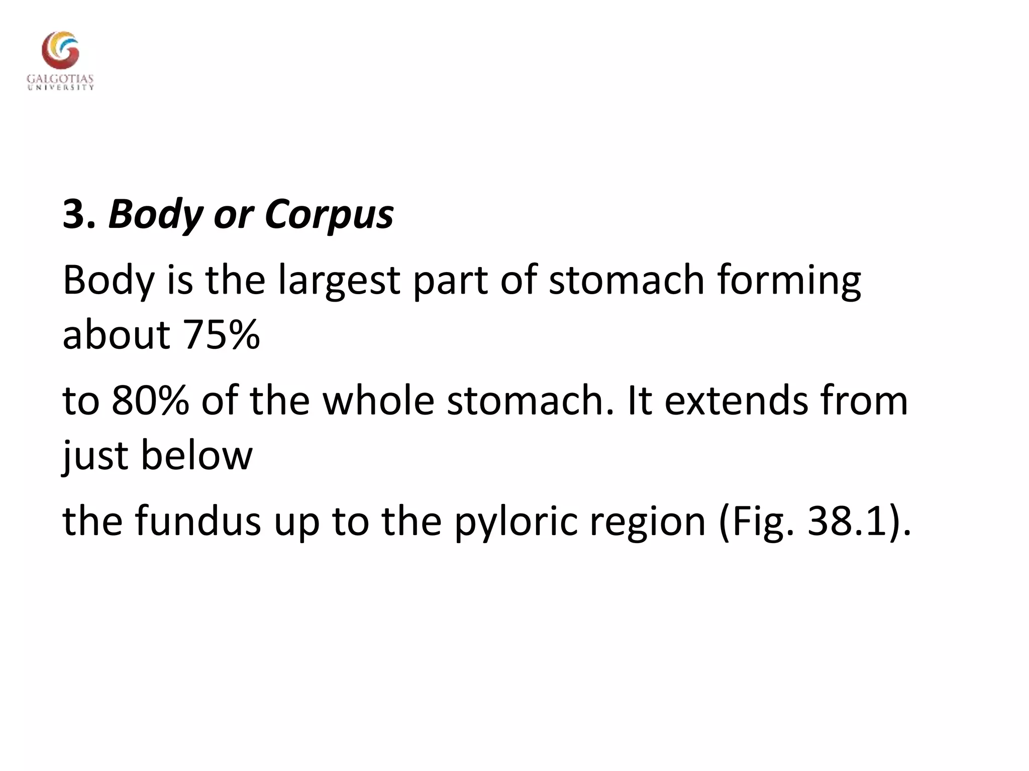 Functional anatomy of stomach, functions of stomach and glands of ...