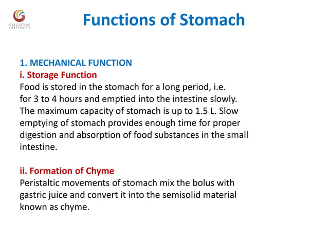 Functional anatomy of stomach, functions of stomach and glands of ...