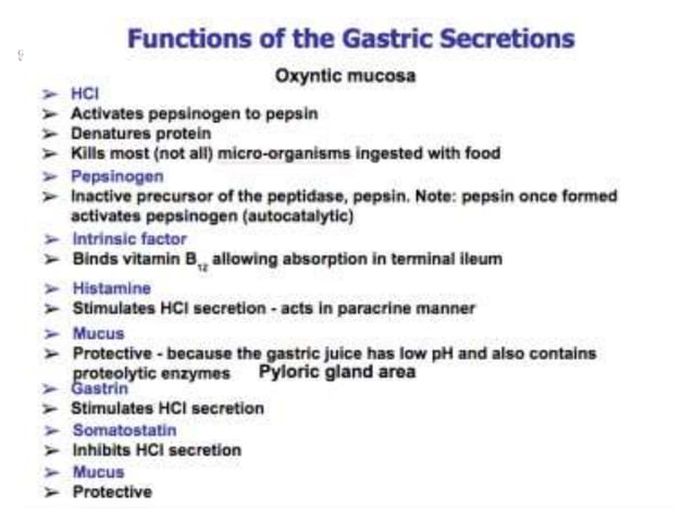 Functional anatomy of stomach, functions of stomach and glands of ...