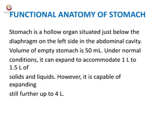 Functional anatomy of stomach, functions of stomach and glands of ...
