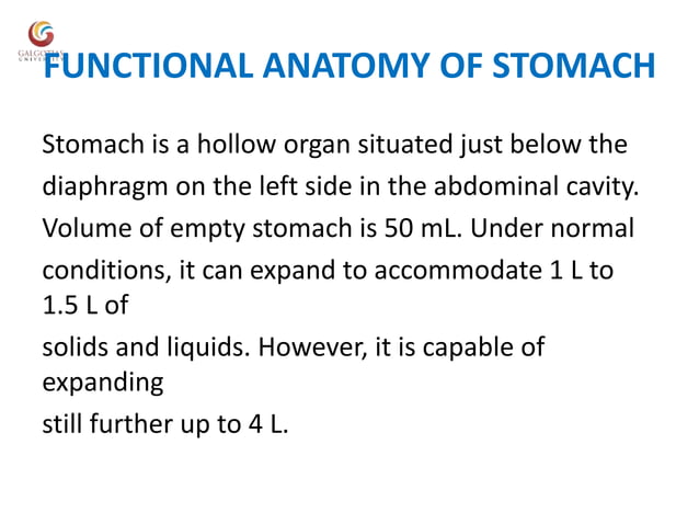 Functional anatomy of stomach, functions of stomach and glands of ...