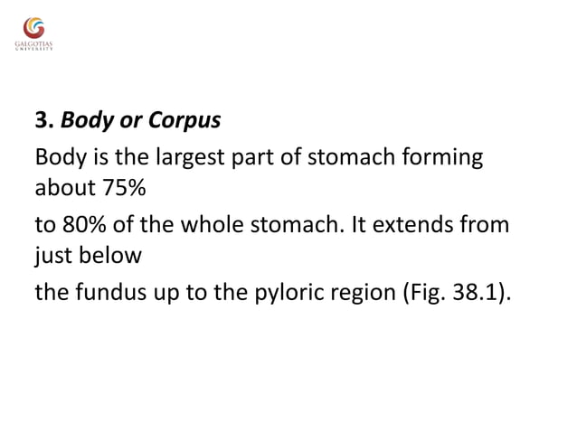 Functional anatomy of stomach, functions of stomach and glands of ...
