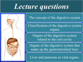 Functional anatomy of digestive system ppt | PPTX