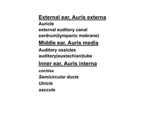 functional anatomy of the ear.ppt