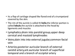 functional anatomy of the ear.ppt